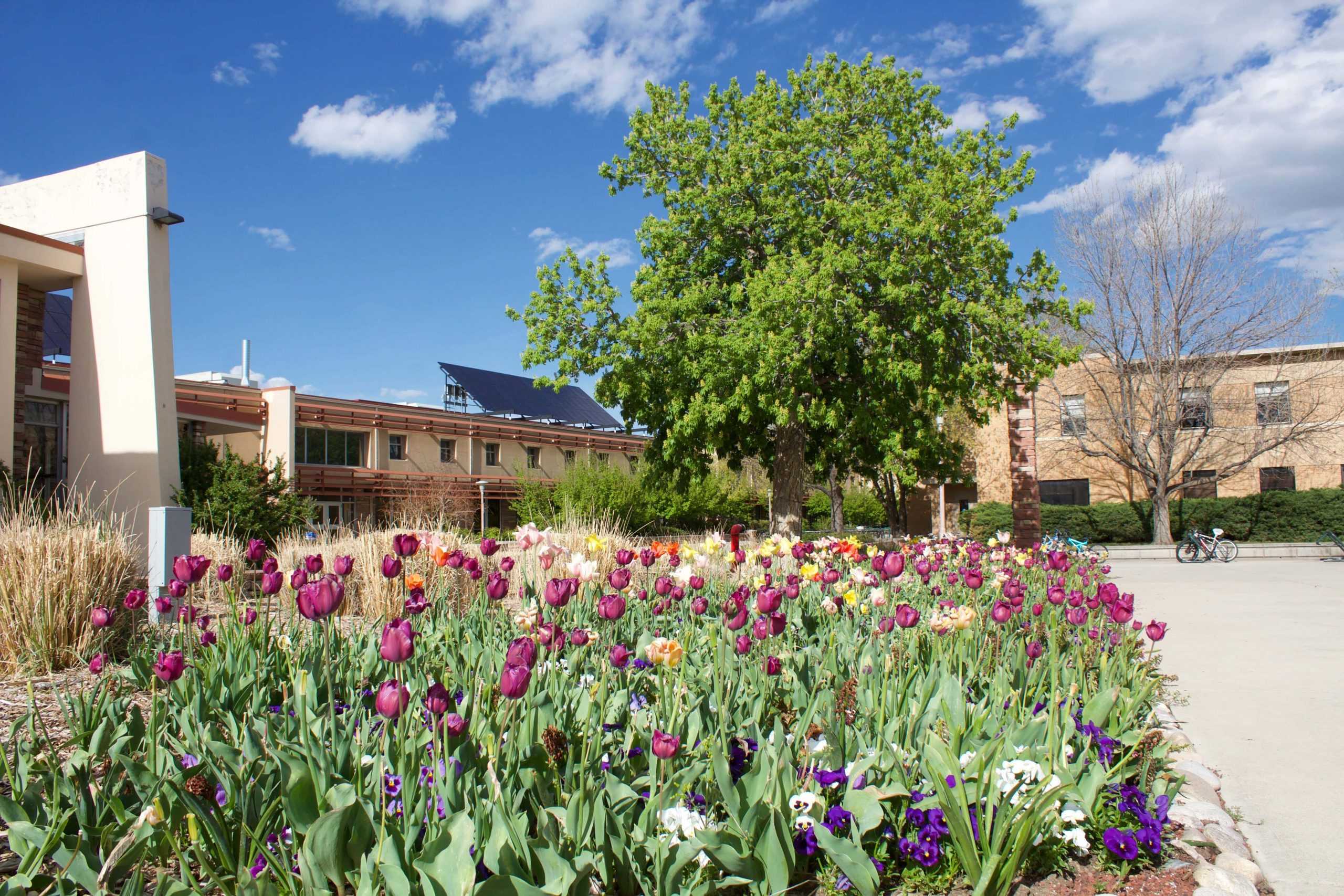 5 things to do in Fort Collins before classes start - The Rocky ...