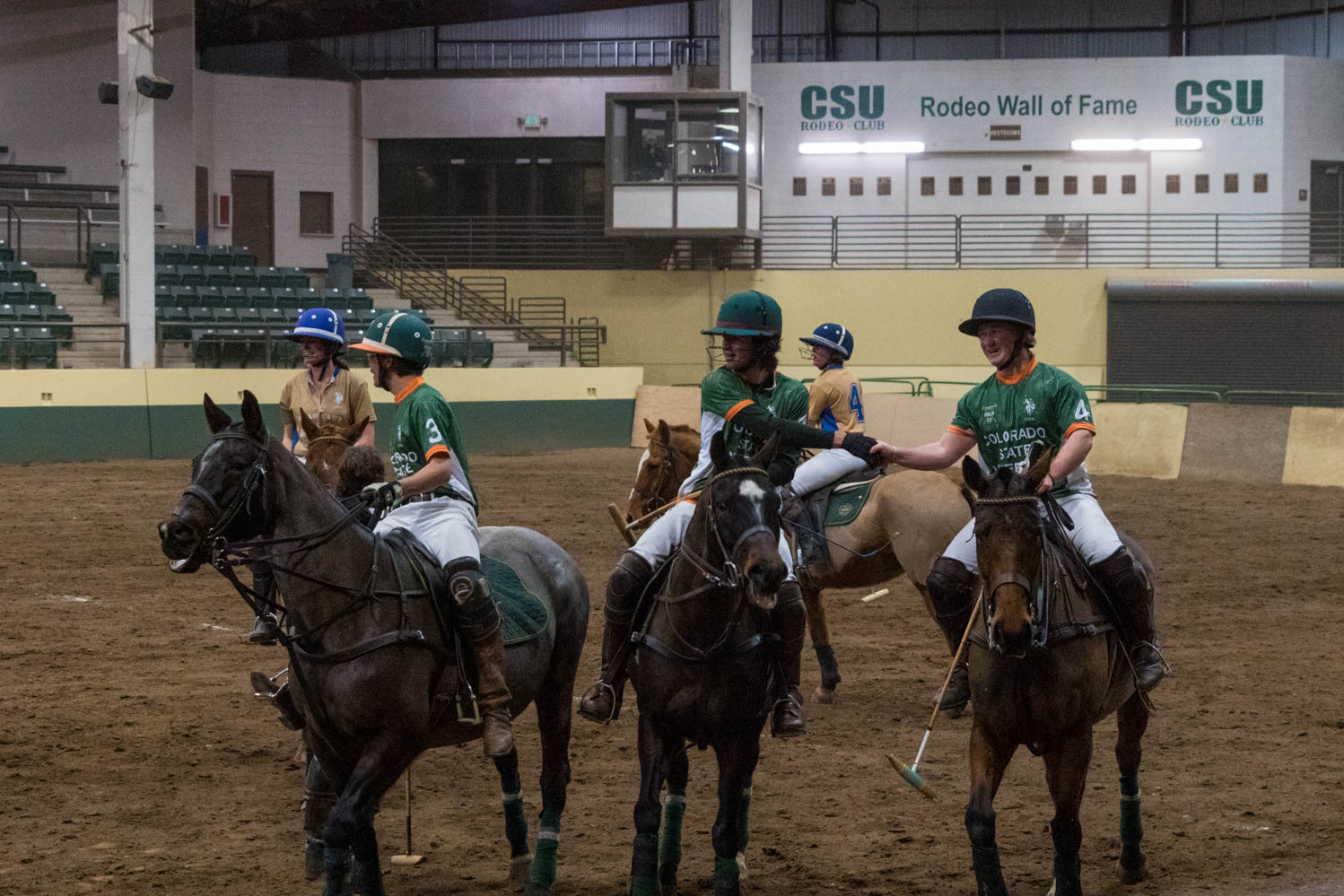 CSU equine polo turns chukkers into chuckles - The Rocky Mountain Collegian