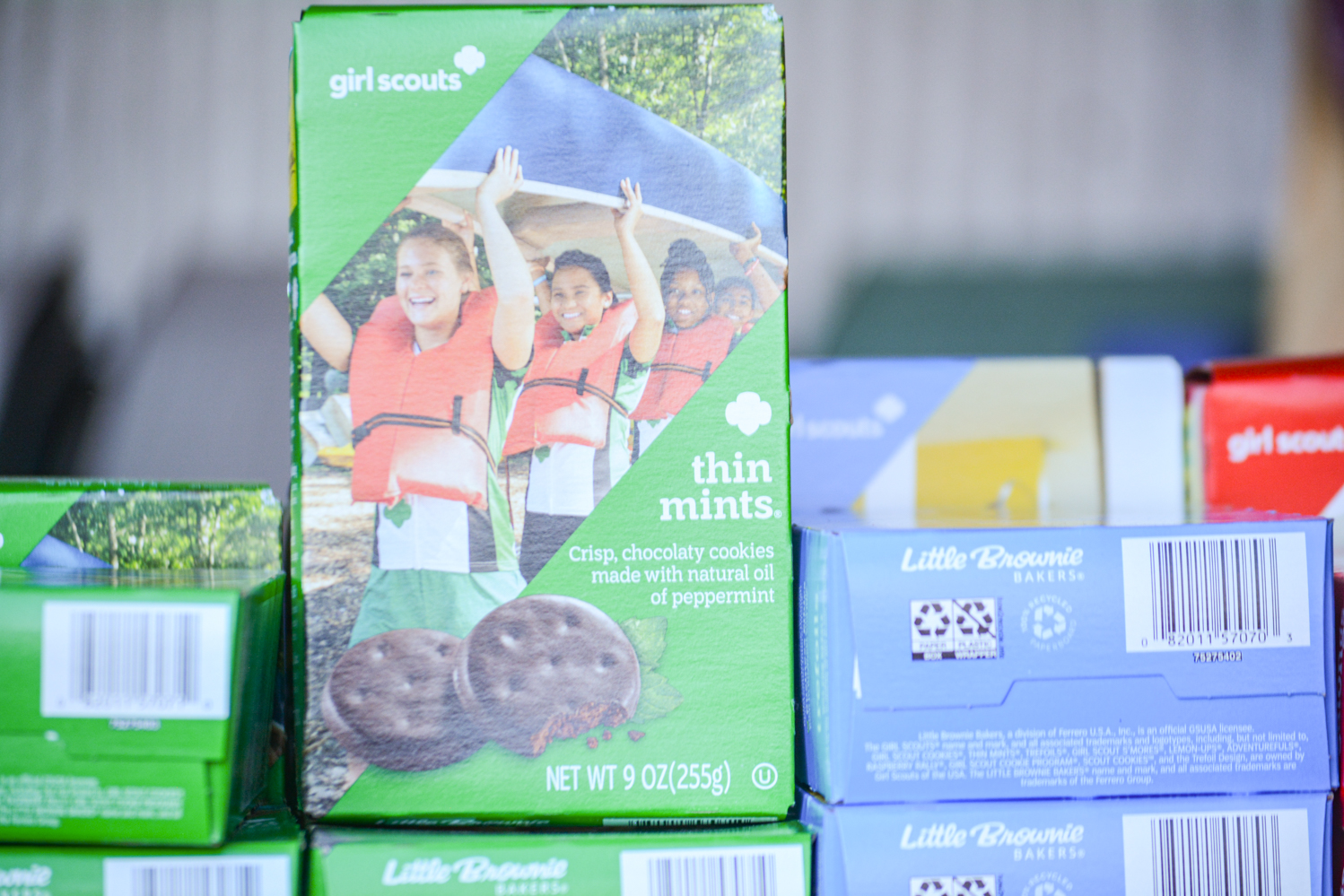 Girl Scout Cookie flavors ranked from worst to best - The Rocky ...