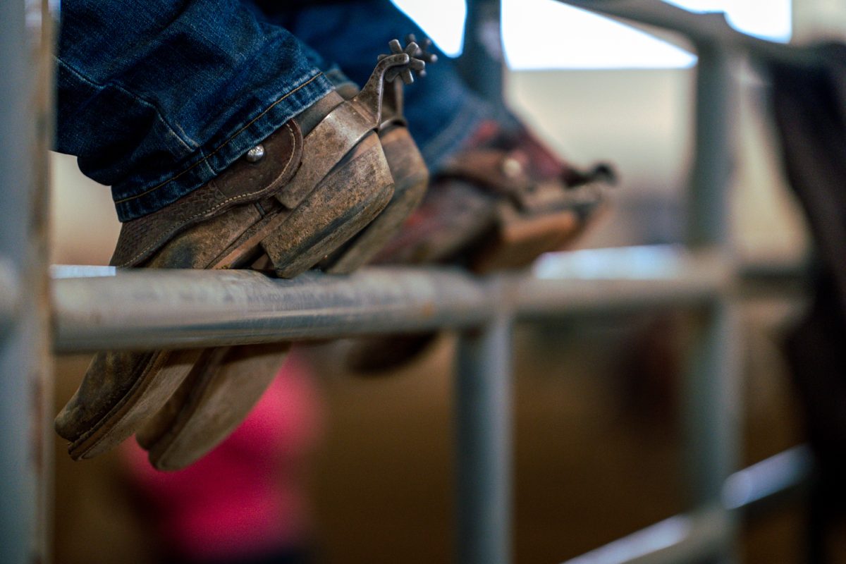 CSU rodeo facilitates connections between athletes, animals - The Rocky ...