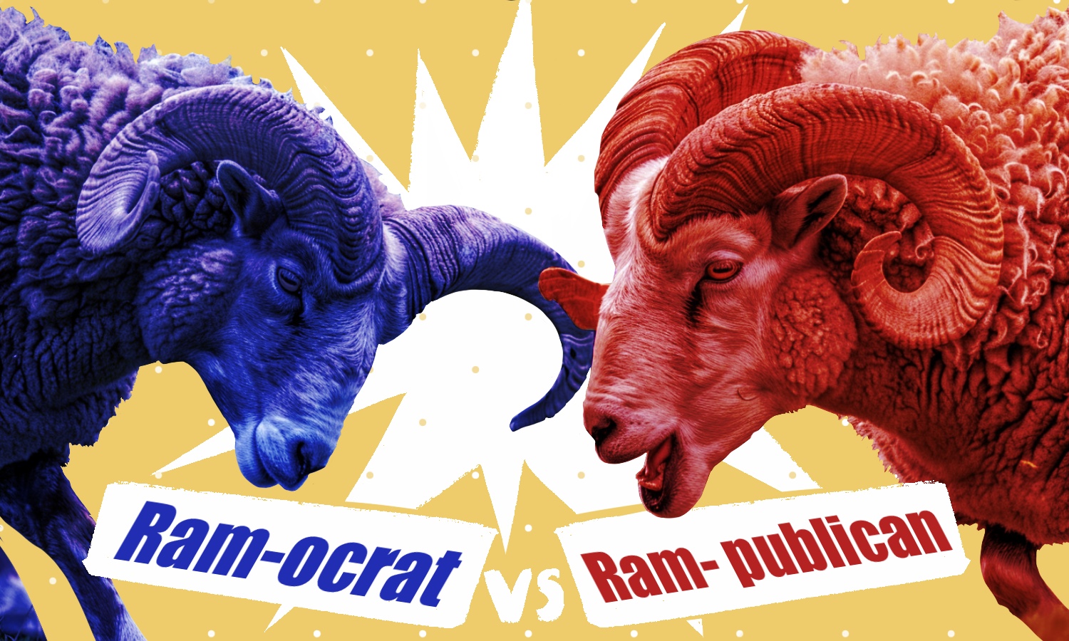 Studdert: YouTube debate channels widen political gaps - The Rocky ...